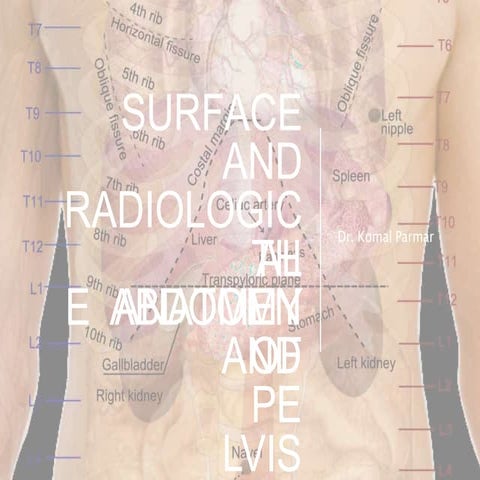 Surface Anatomy of the abdominal viscera and abdominal regions. | PPTX