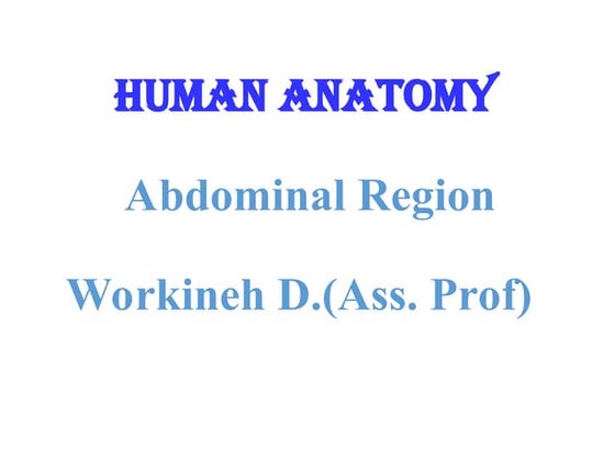 Abdominal wall anatomy and its clinical importance | PPTX | Pregnancy ...