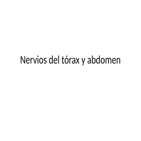 nervios del tórax y abdomen 2025 2024.pptx