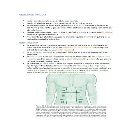 ABDOMEN AGUDO PARA ESTUDIANTES DE CIRUGIA GENERAL | PPTX