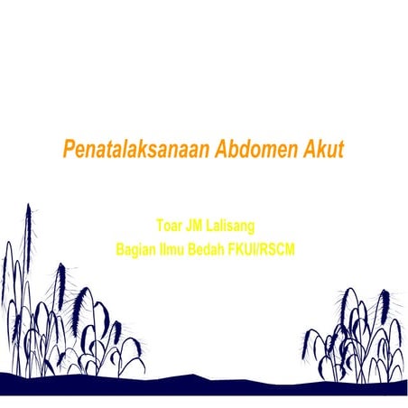 Presentasi untuk penyuluhan Abdomen Akut | PDF