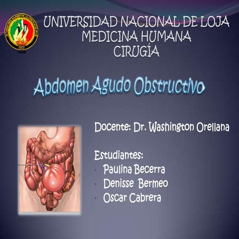 Apendicectomia Tipo Mc Burney | PPTX