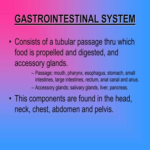 Abdomen Presentation anat.ppt