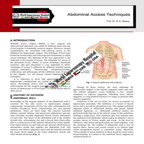 Entry technique with veress needle in Laparoscopy | PPTX