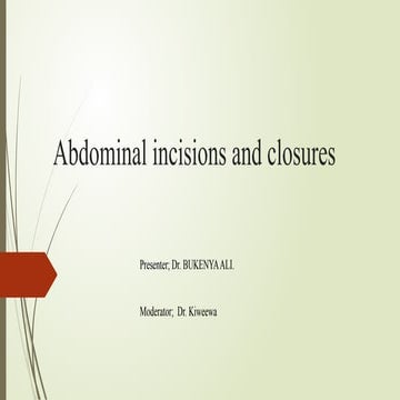 Abdominal Surgical Incissions ppt presentation.pptx