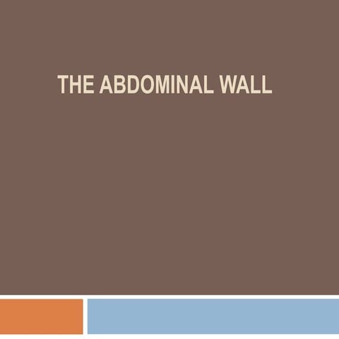 Abdominal wall anatomy and its clinical importance | PPTX