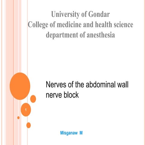 Abdominal Wall Anatomy Ppt Anterior Abdominal Wall Anatomy Ppt | PPT