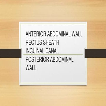abdominal wall final (1).pptx