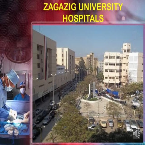 Abdominal wall incisions and Umbilicus (2).pptx