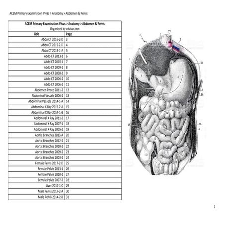 Abdopelvis anatomy CST exam MRCS preperation | PDF