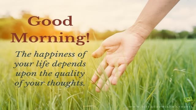 Presentation on Matrons Report | PPTX | Healthcare Industry | Industries