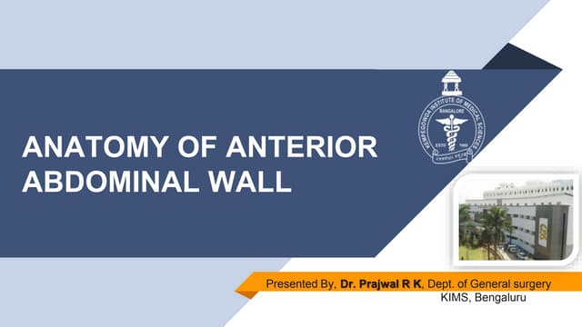 Anterior abdominal wall anatomy ppt | PPTX