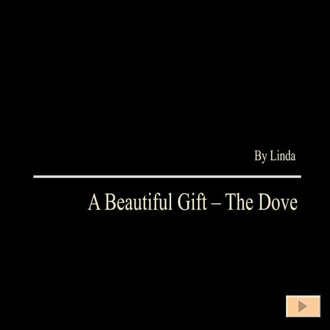 A Beautiful Dove | PPS