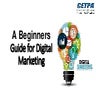 A Beginners Guide for Digital Marketing.pptx