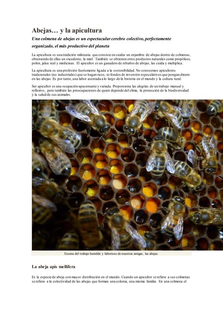 LAS ABEJAS | PPT