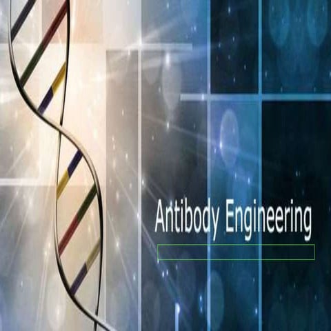 ANTIBODY ENGINEEERING ITS APPLICATIONS | PPTX