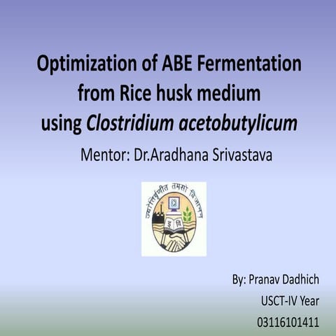 Optimization of ABE Fermentation from Rice Husk Medium using ...