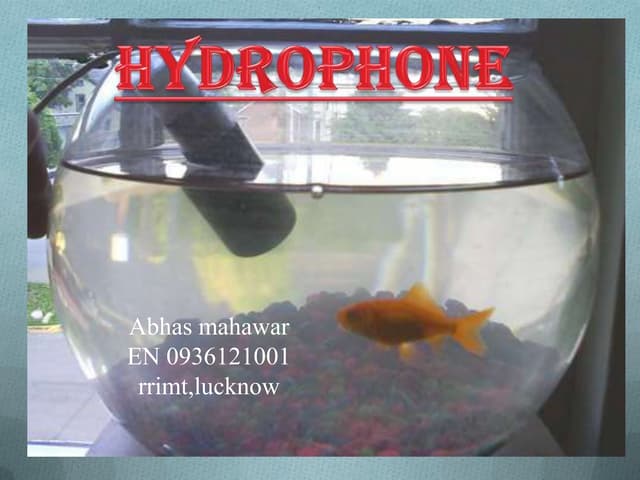 HYDROPHONE ARRAY | PDF