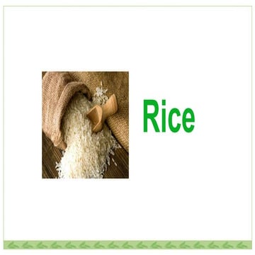 Rice.pptx