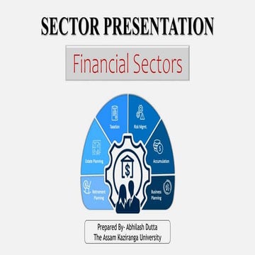 FINANCIAL SECTORS PRESENTATION | PPTX