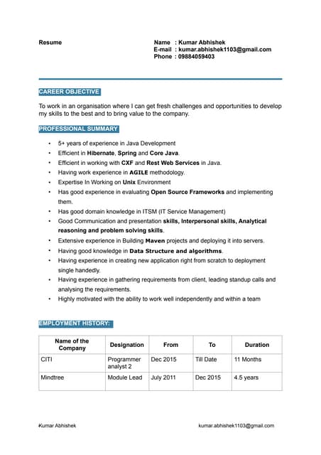 Amit_Resume | DOCX | Programming Languages | Computing