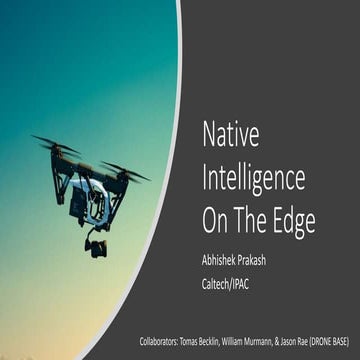 Native Intelligence | PPT