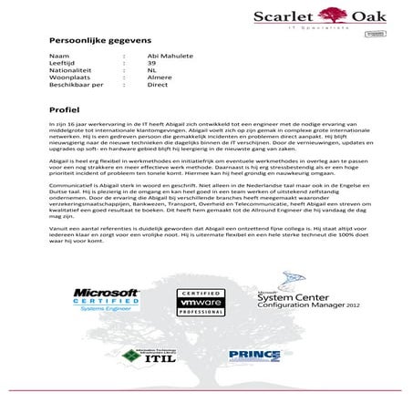 Curriculum Vitae_Maurits Groenenberg_mei2015 | DOCX