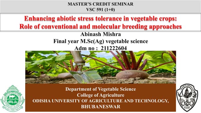 submergence tolerance in rice - sub 1 | PPTX
