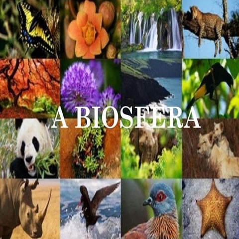 A biosfera | PPT
