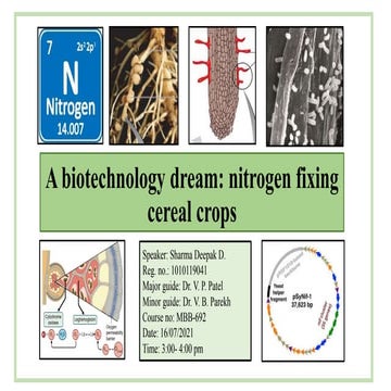 A biotechnology dream nitrogen fixing cereal crops by Deepak Sharma | PPTX