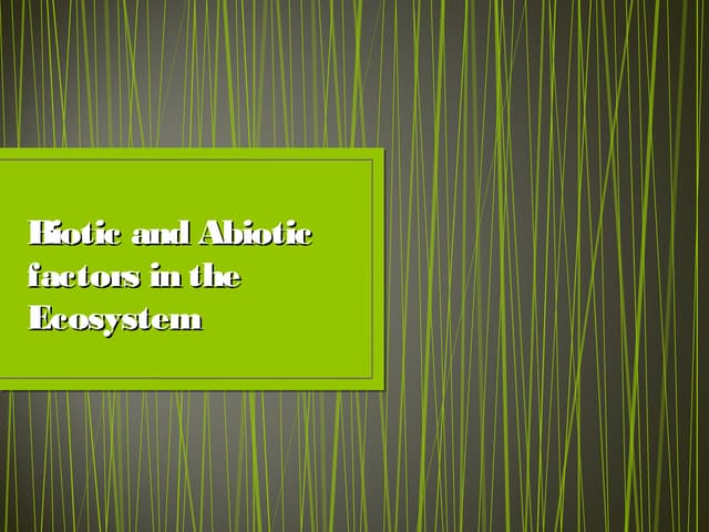 The Food Web PowerPoint | PPTX