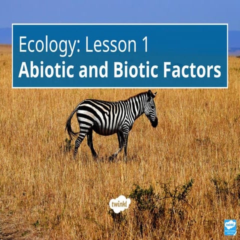 Abiotic and Biotic Presentation for kids | PPT