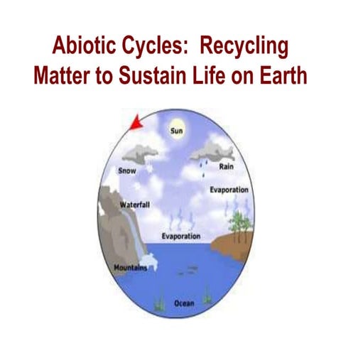 Abiotic cycles | PPTX
