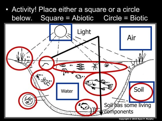 Abiotic components | PPT