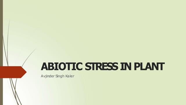 Stress in plants | PPT