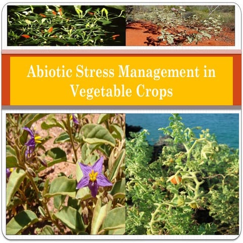 Abiotic Stress management in Vegetable Crops.pptx