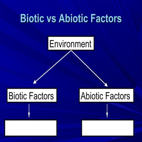 Abiotic vs. biotic web | PPT