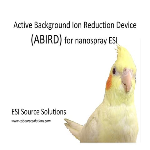 ABIRD Presentation 2009 | PPT