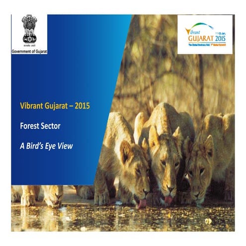 Vibrant Gujarat Bird's Eye View of Gujarat Forest Sector | PDF