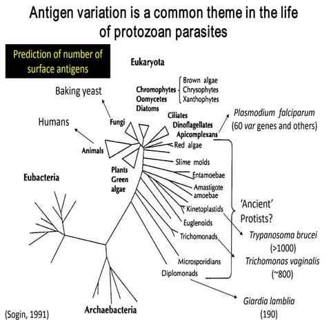 Ab lecture190911 | PDF