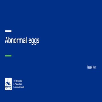 Abnomarl egg_kts_210925.pptx case study egg | PPT