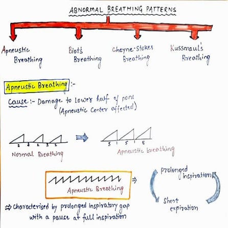 abnormal okkkkkkkkkkkkkkkk breathing.pdf