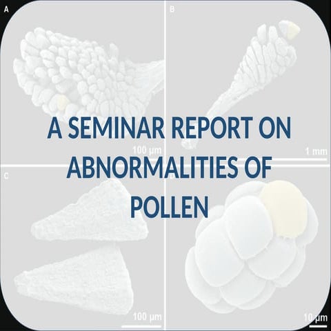 Identifying and Understanding Pollen Abnormalities: Impacts on ...