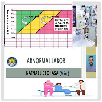 Abnormal Labor [ Natnael Dechasa Gemeda pdf ].pdf