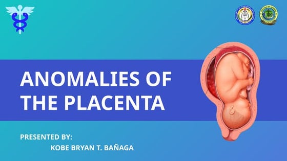 Sites of implantation of embryo | PPTX | Pregnancy | Reproductive Health