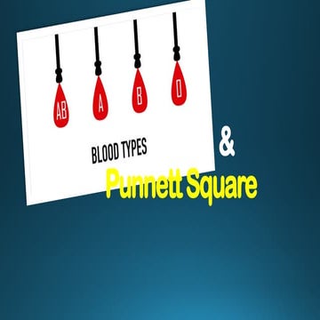 ABO BLOOD AND PUNNETT SQUARE ACTIVITY.pptx