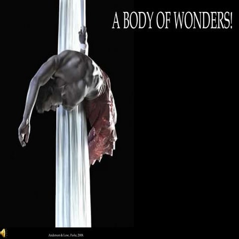 A BODY OF WONDERS, Suy / Conceição Ludovino--- | PPSX