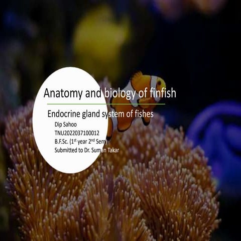 Fish vertebral column | PPTX