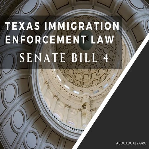 Know the Basics of Texan Self-Defense Laws | Abogado Aly | PDF