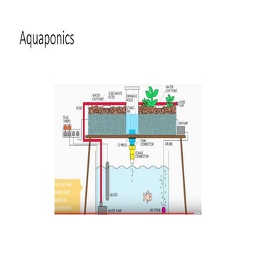 About aquaponic | PPTX